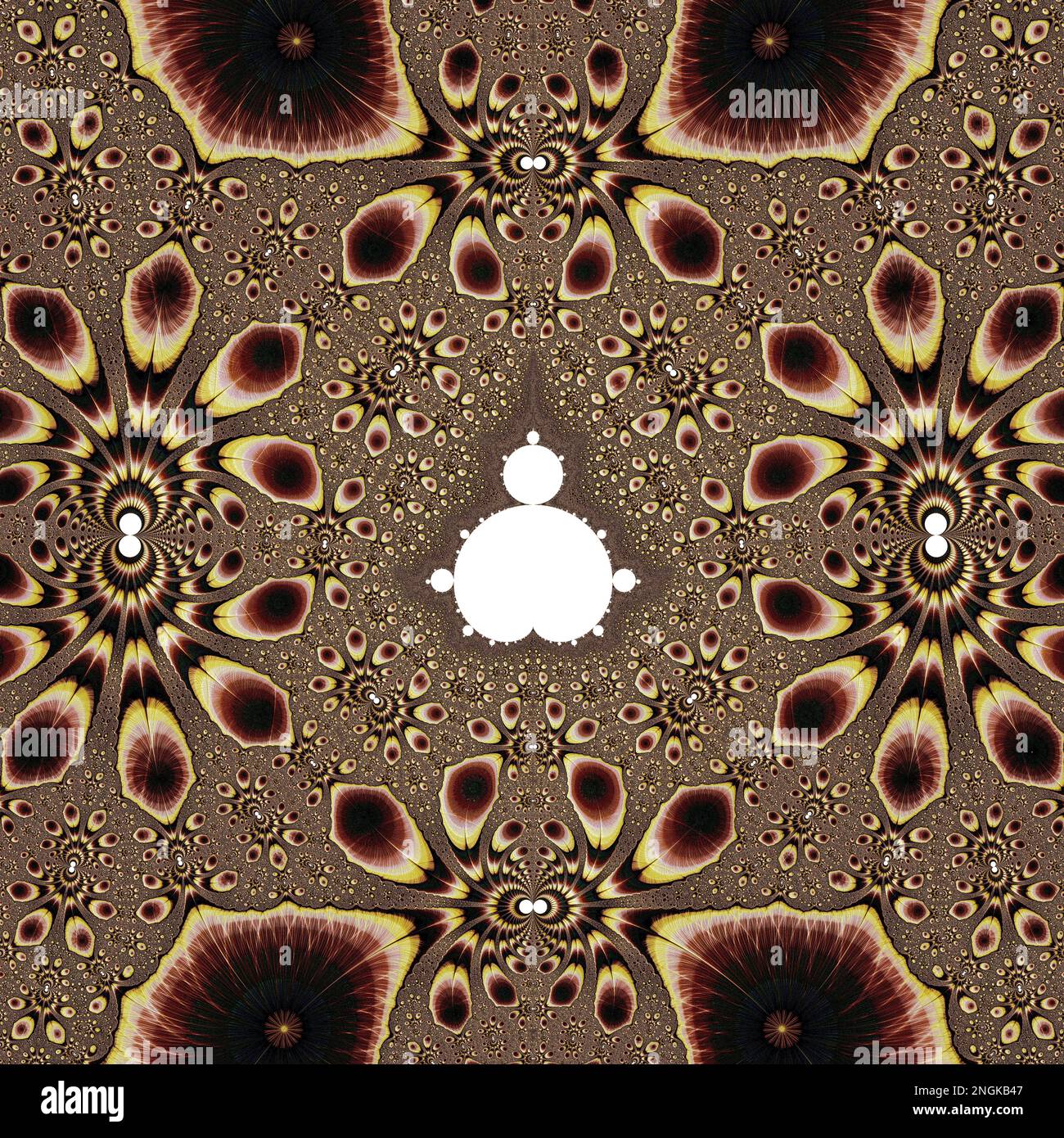 Fractal complex - Mandelbrot set detail, digital artwork for creative ...