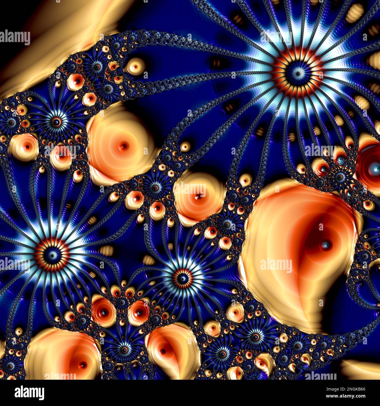 Fractal complex - Mandelbrot set detail, digital artwork for creative ...