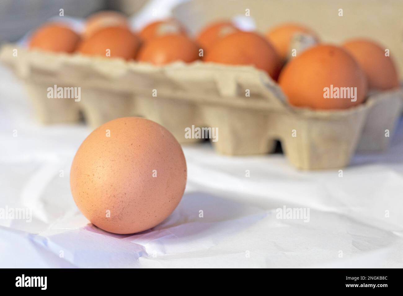 Single egg with a full container of eggs on a light background Stock ...