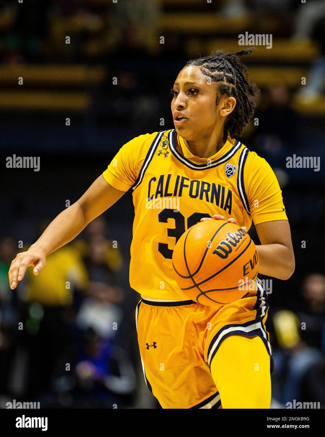 2023 0539 jpg hi-res stock photography and images - Alamy