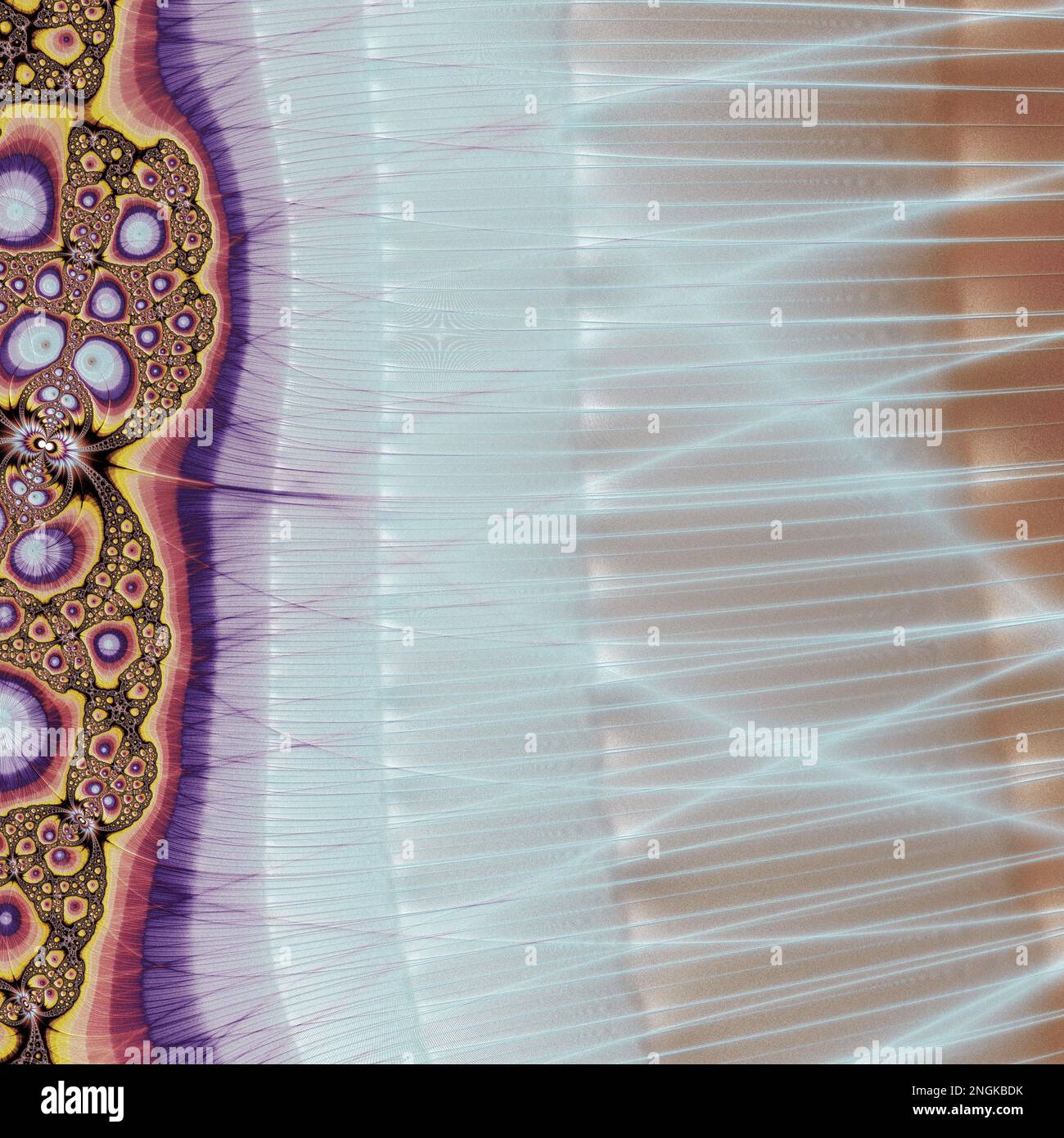 Fractal complex - Mandelbrot set detail, digital artwork for creative ...