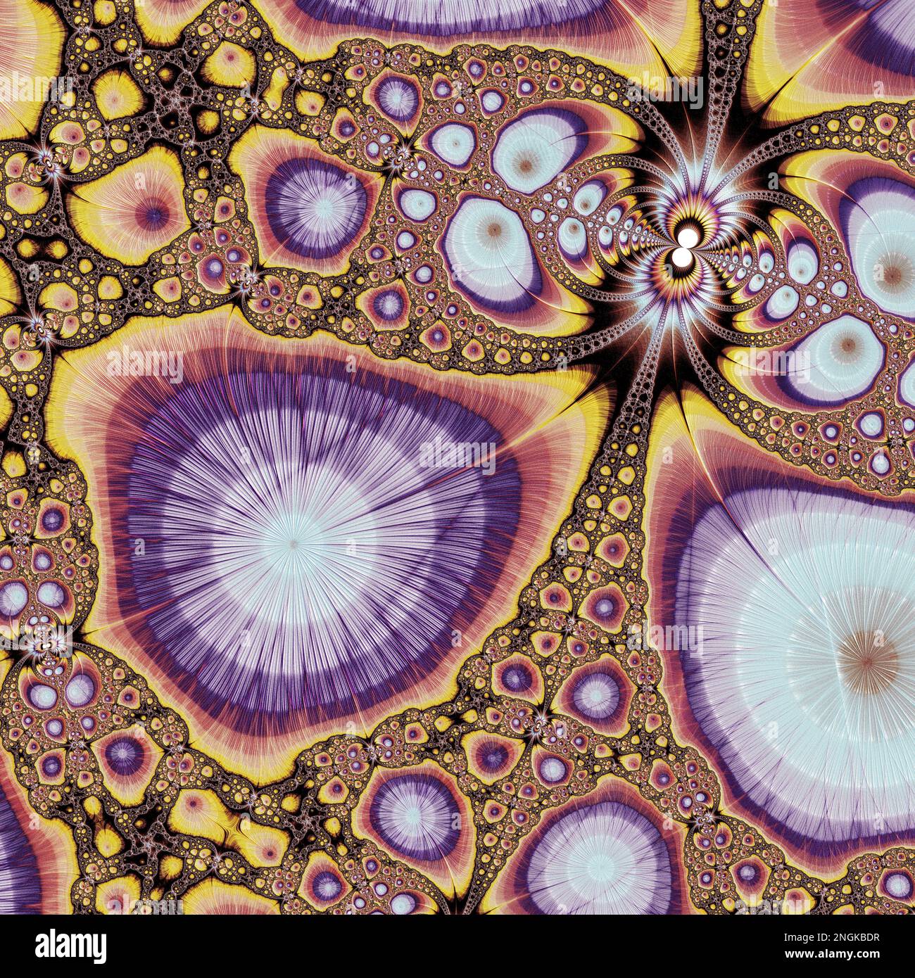 Fractal complex - Mandelbrot set detail, digital artwork for creative ...