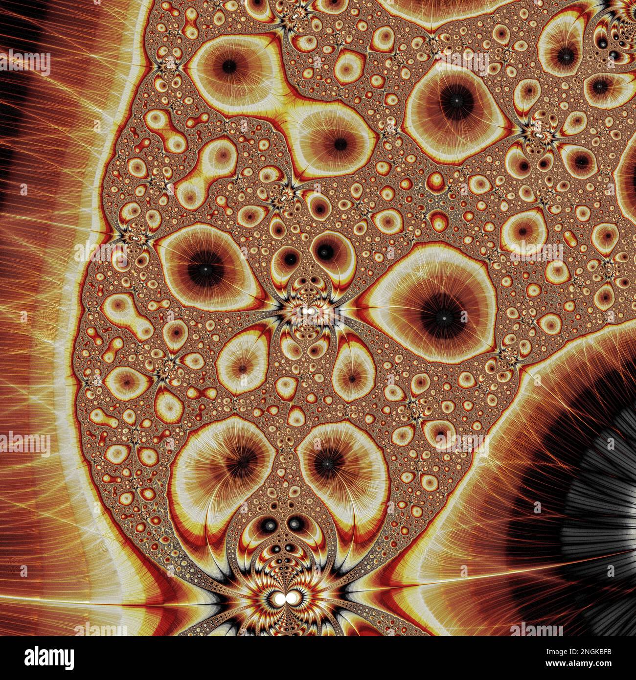 Fractal complex - Mandelbrot set detail, digital artwork for creative ...