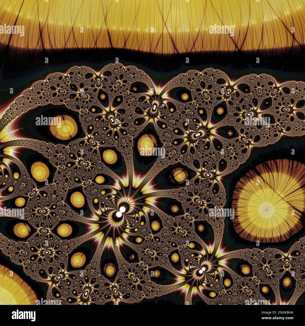Fractal complex - Mandelbrot set detail, digital artwork for creative ...