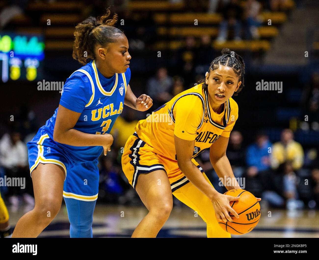 2023 0584 jpg hi-res stock photography and images - Alamy