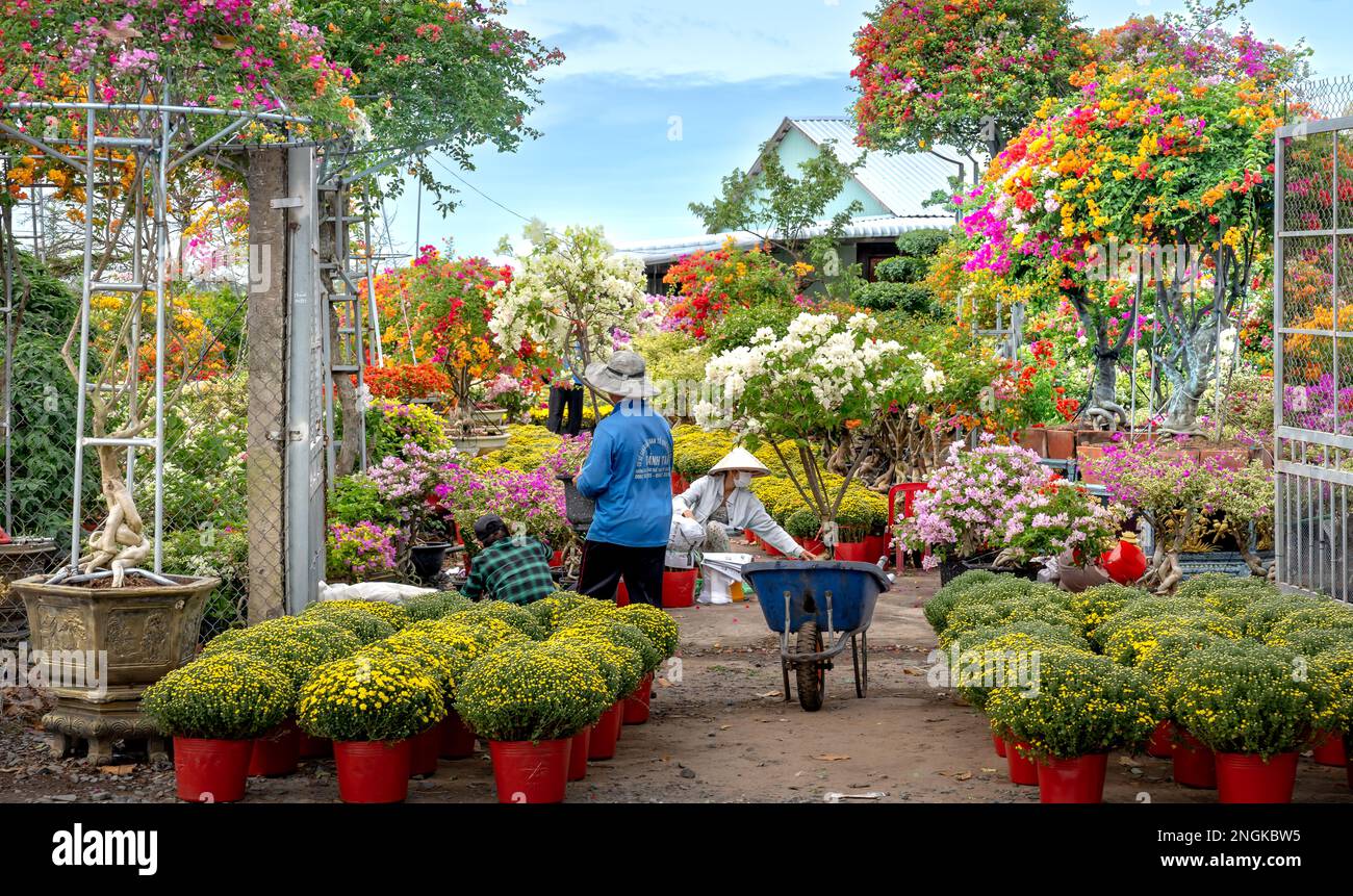 A farmer's shop selling flowers and ornamental plants in Sa Dec City ...