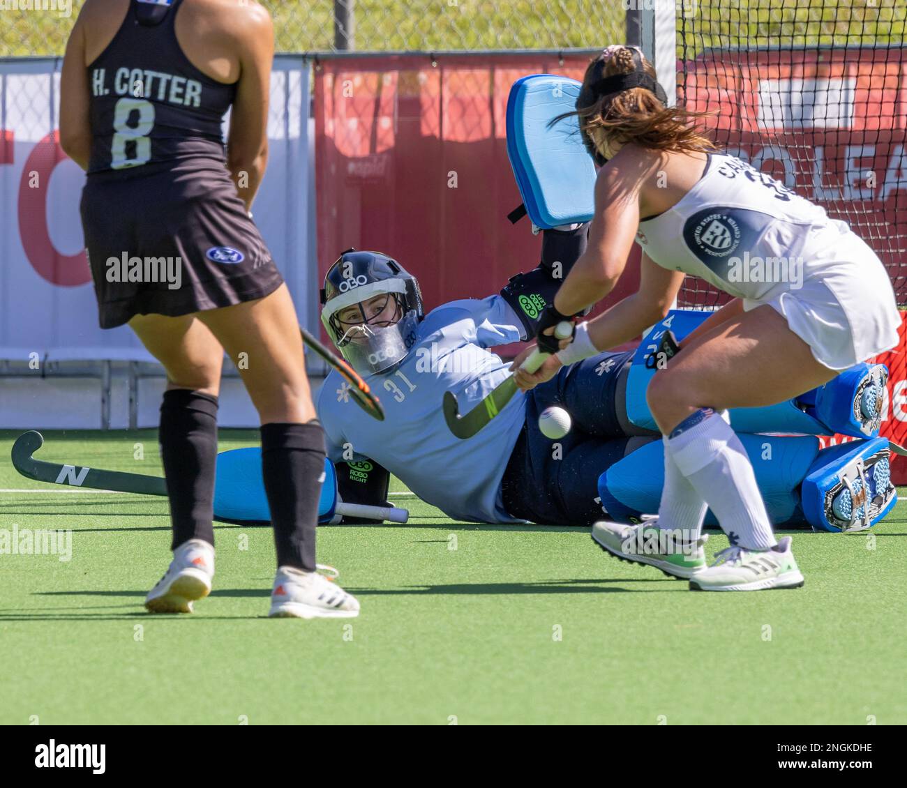 Kelsey bing hi-res stock photography and images - Alamy