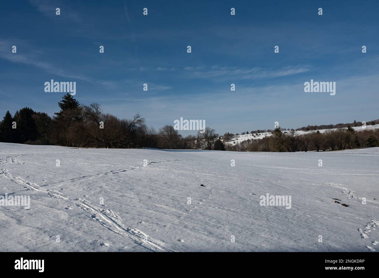Lots of snow in nature, with trees and blue sky in the high Rhoen ...