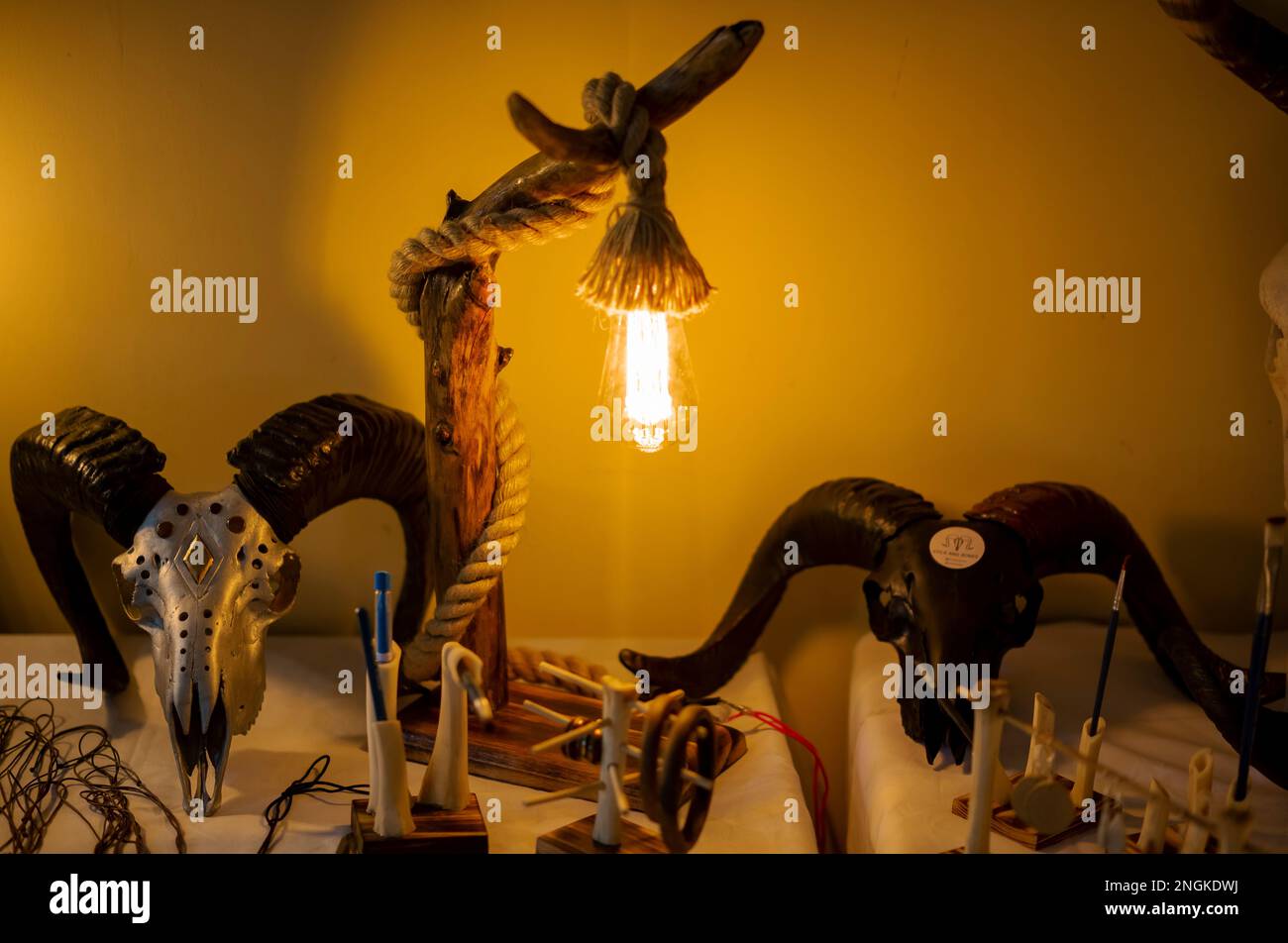 Sheep goat bone hi-res stock photography and images - Alamy