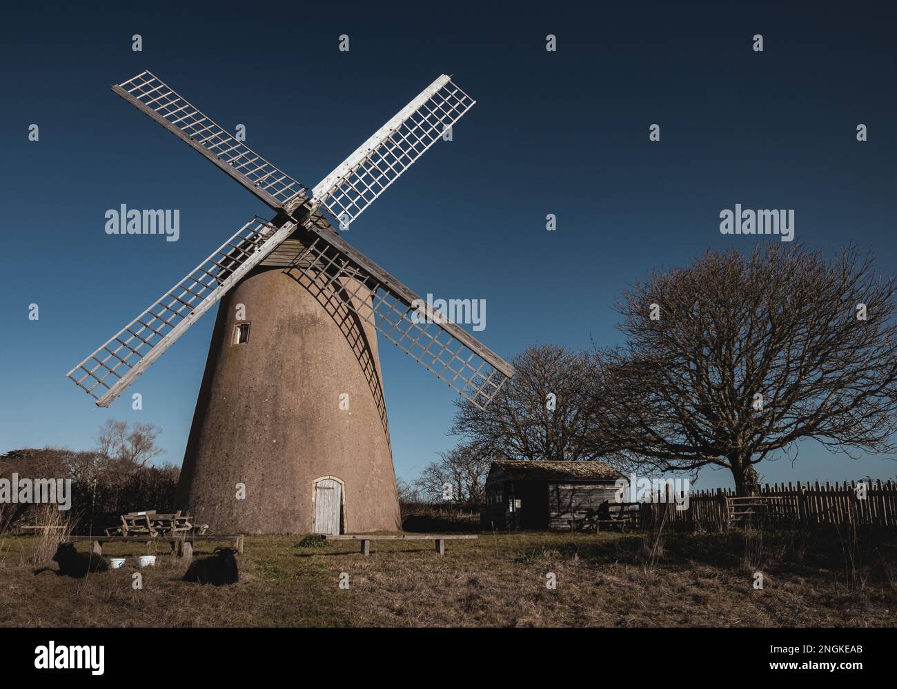 The Bembridge windmill standing on a vast meadow, with a cloudless sky ...