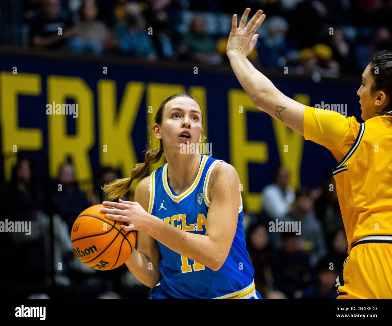 2023 0174 jpg hi-res stock photography and images - Alamy