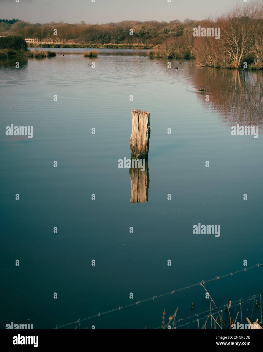 Log vertical log fence with bark rustic hi-res stock photography and ...
