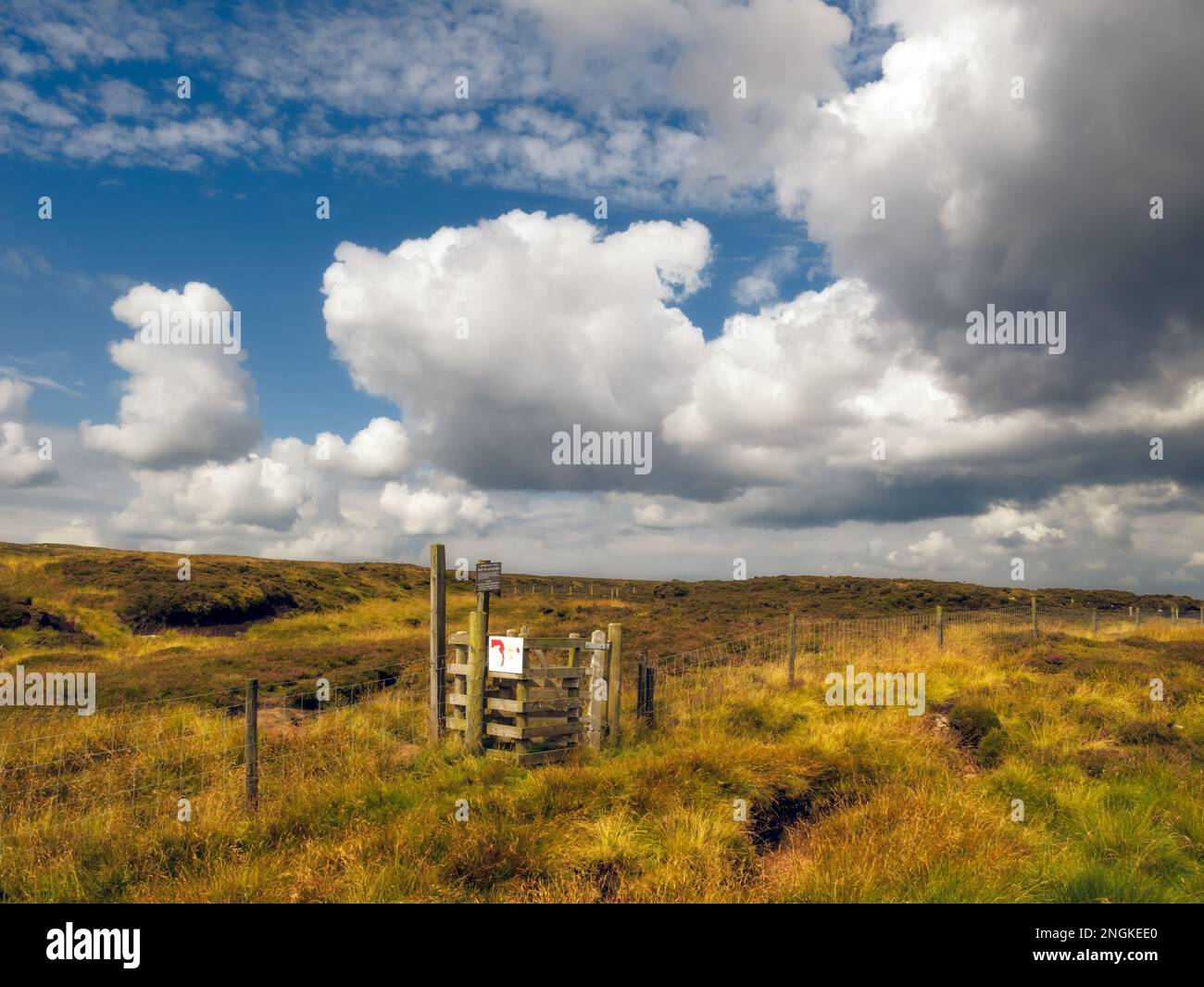 Access gate to Wolf Fell on Saddle fell above Chipping in The Forest of ...