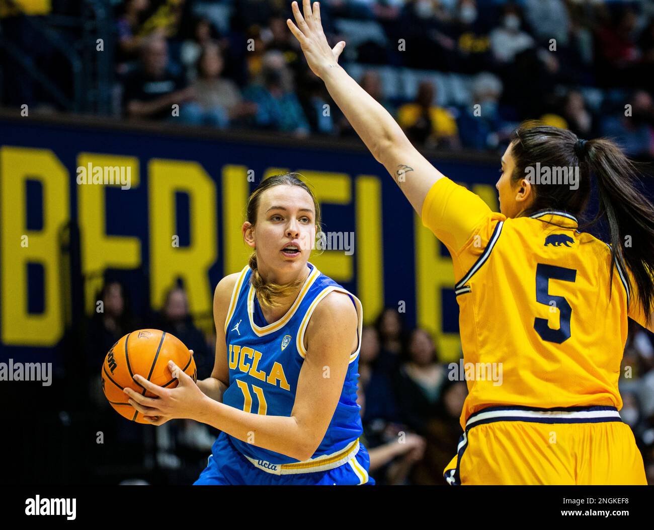 2023 0175 jpg hi-res stock photography and images - Alamy