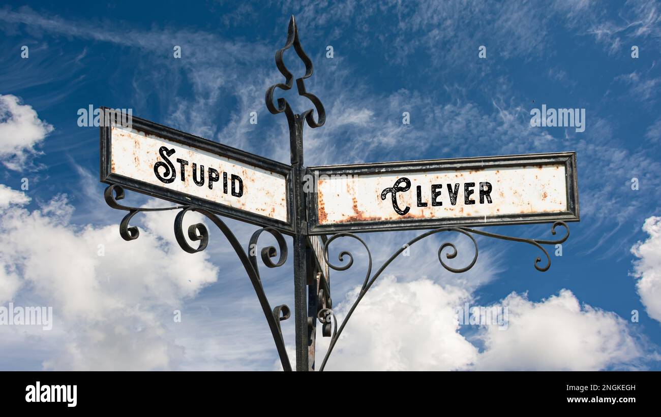 Street Sign the Direction Way to Clever versus Stupid Stock Photo - Alamy