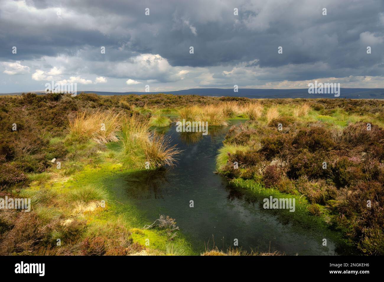 Raised Biog on Saddle Fell near Chipping in The Forest of Bowland ...