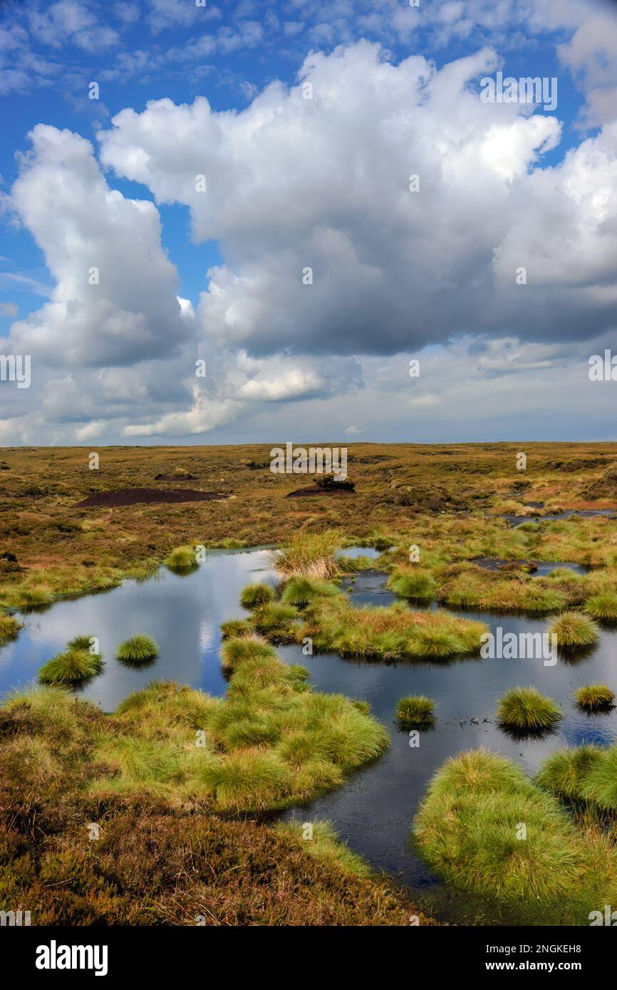 Raised Biog on Saddle Fell near Chipping in The Forest of Bowland ...