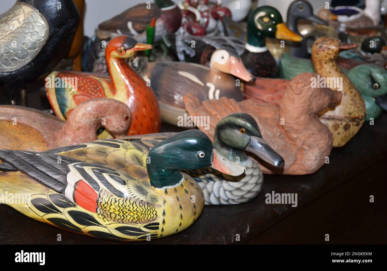 Colorful collection small duck hi-res stock photography and images - Alamy