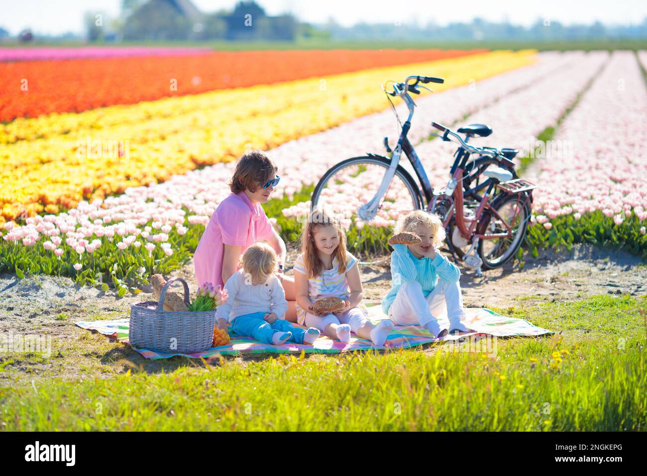 Family picnic at tulip flowers fields in Holland. Young mother and children eating lunch in ...
