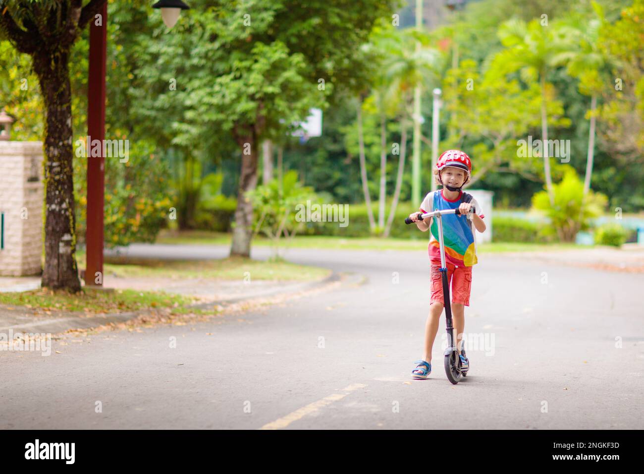 Little boy riding scooter. Kids ride kick board. Child playing on ...