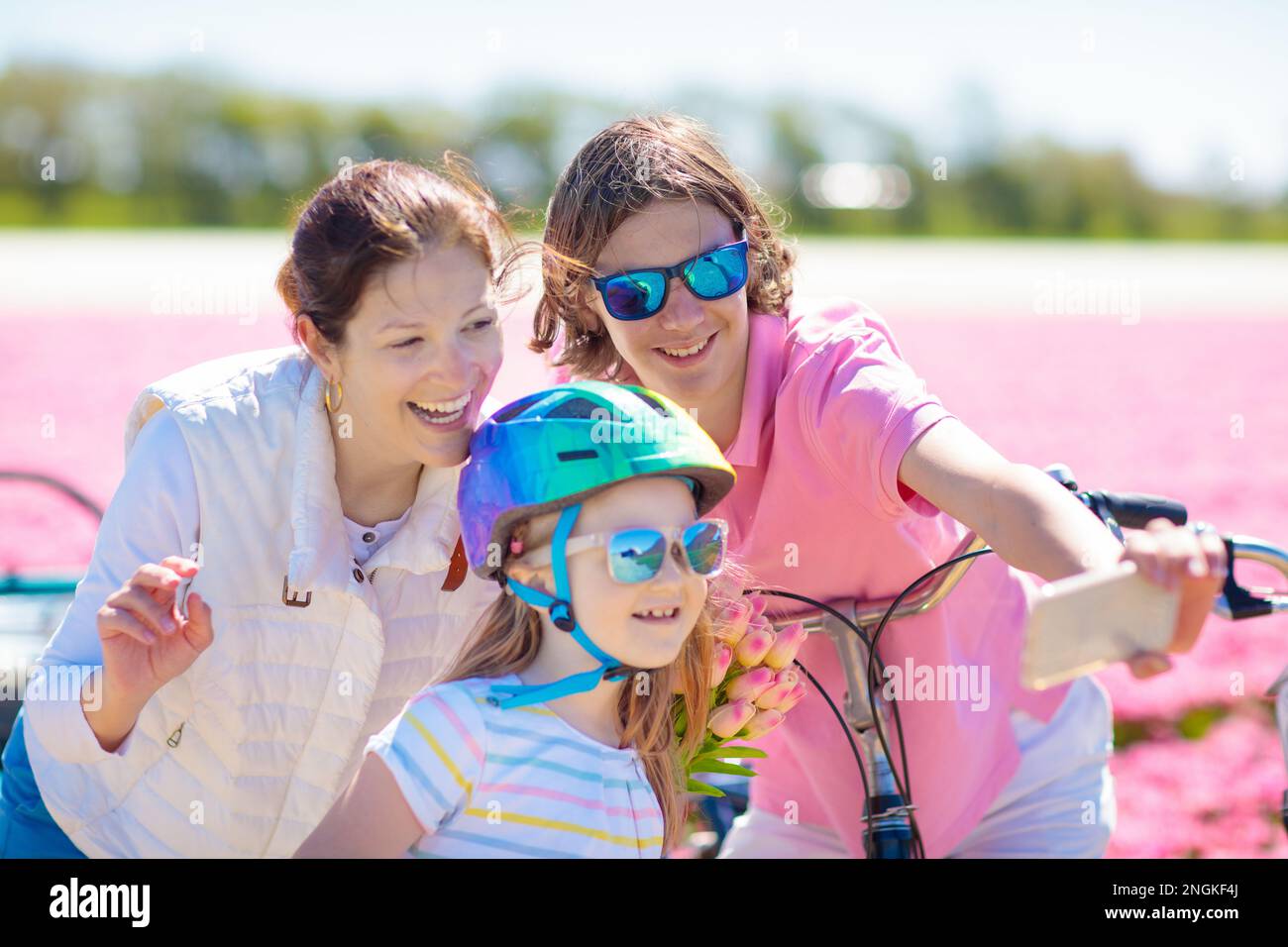 Dutch family riding bicycle in tulip flower fields in Netherlands ...