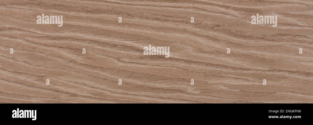 Natural stylish grey oak veneer background for your exterior view ...