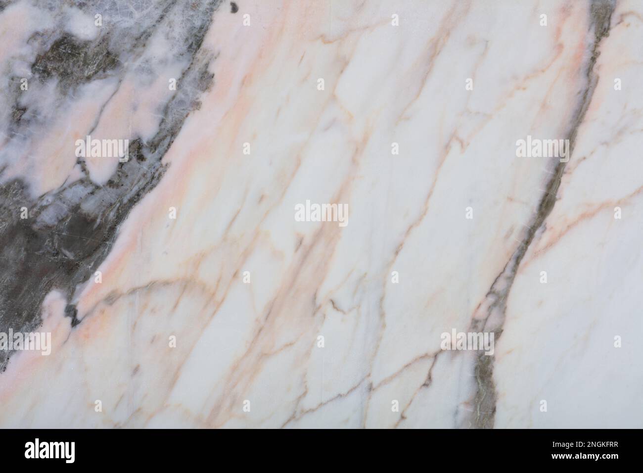 Calacatta Creme marble background, texture in gentle light color Stock ...