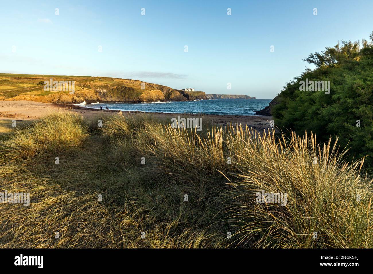 Gunwalloe Church Cove; Lookig Towards Mullion; Cornwall; UK Stock Photo ...