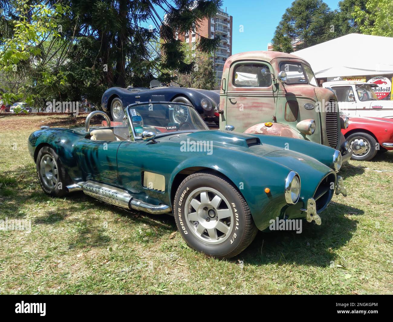 Old blue sport 1960s AC Shelby Cobra sport roadster in a park. Nature ...