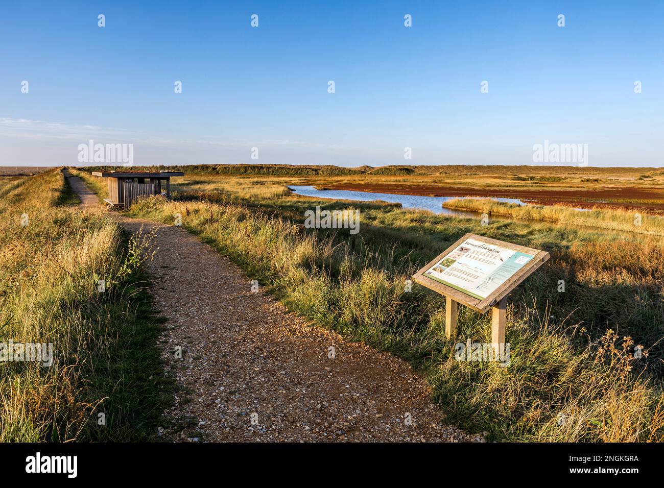 East marsh hi-res stock photography and images - Alamy