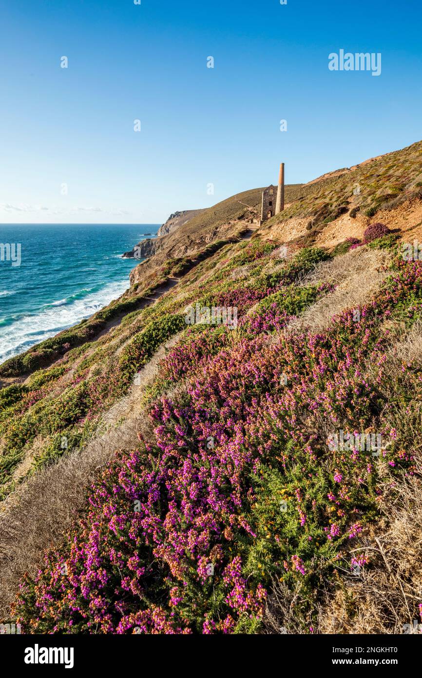 Wheal Coates; St Agnes; Cornwall; UK Stock Photo - Alamy