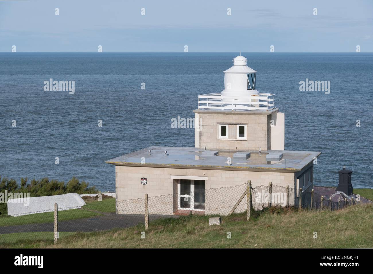 Bull point hi-res stock photography and images - Alamy