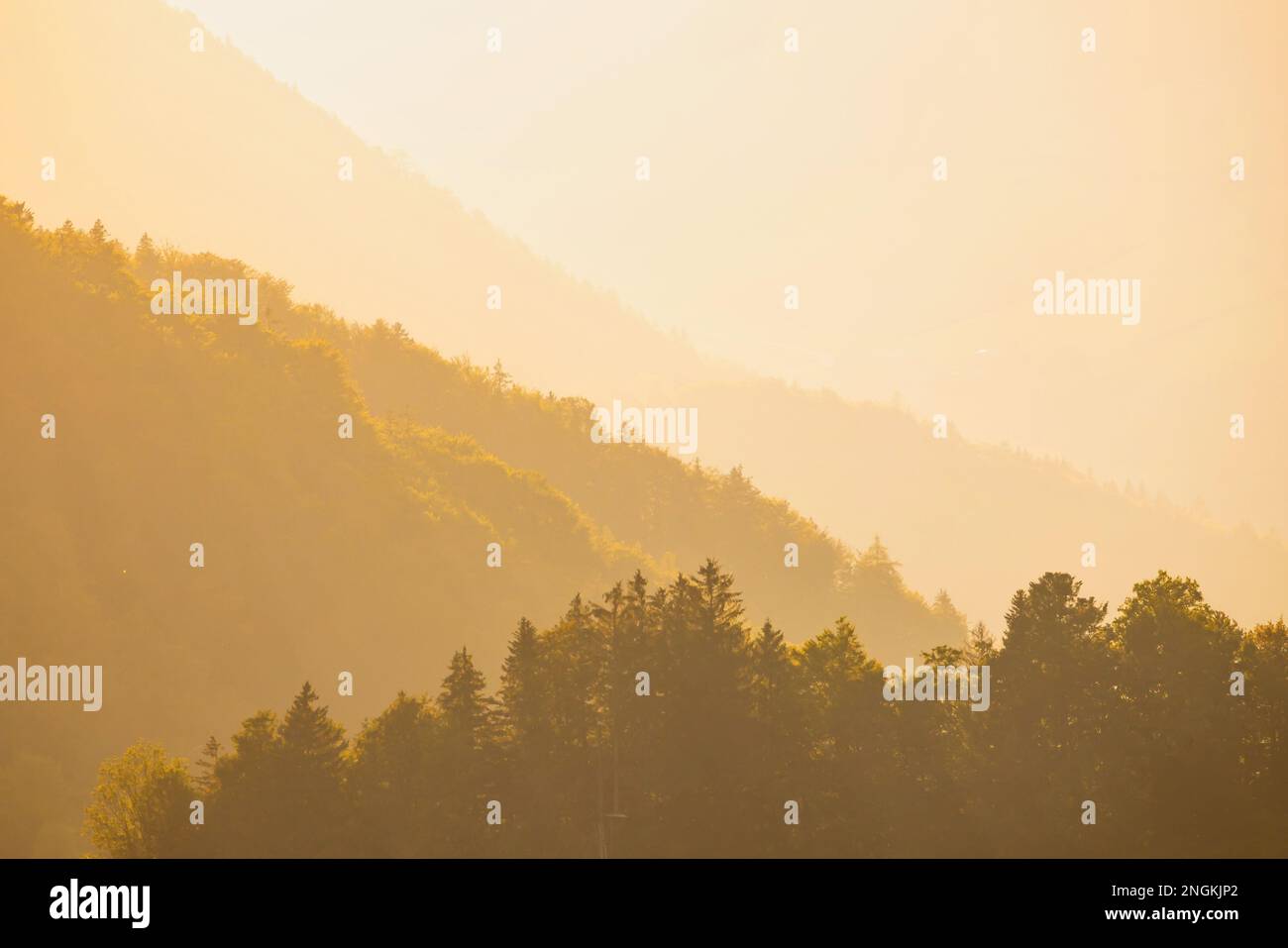 Sunset Summit The Alps in Glorious Golden Light Stock Photo - Alamy