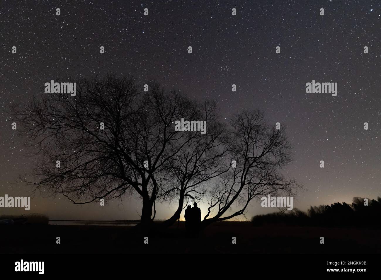 Starry night sky with a silhouette of two people standing under a big ...