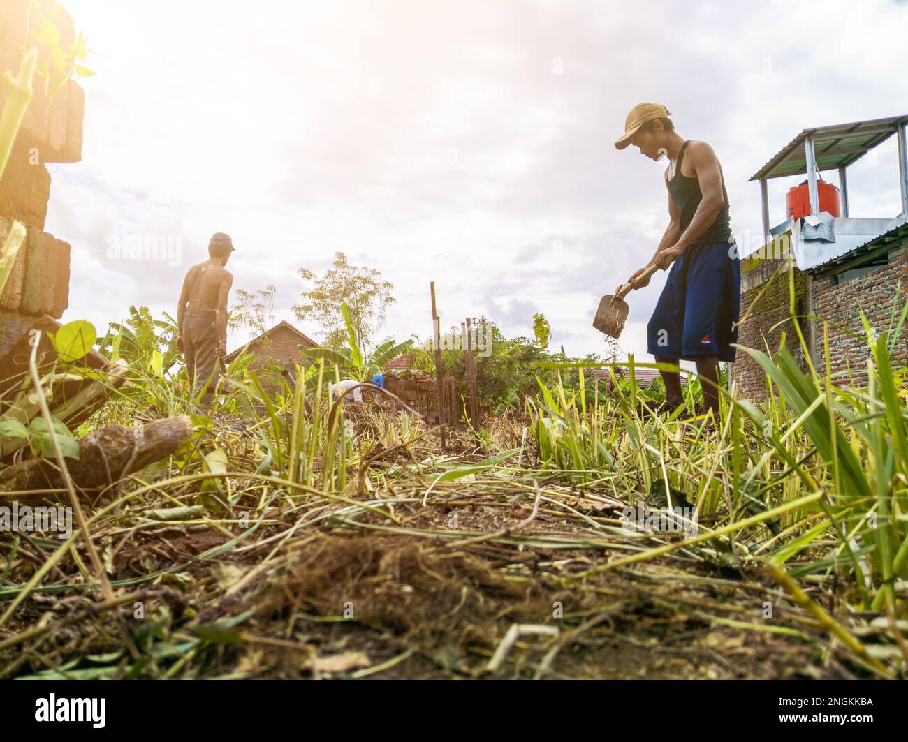 Hoeing a field hi-res stock photography and images - Alamy