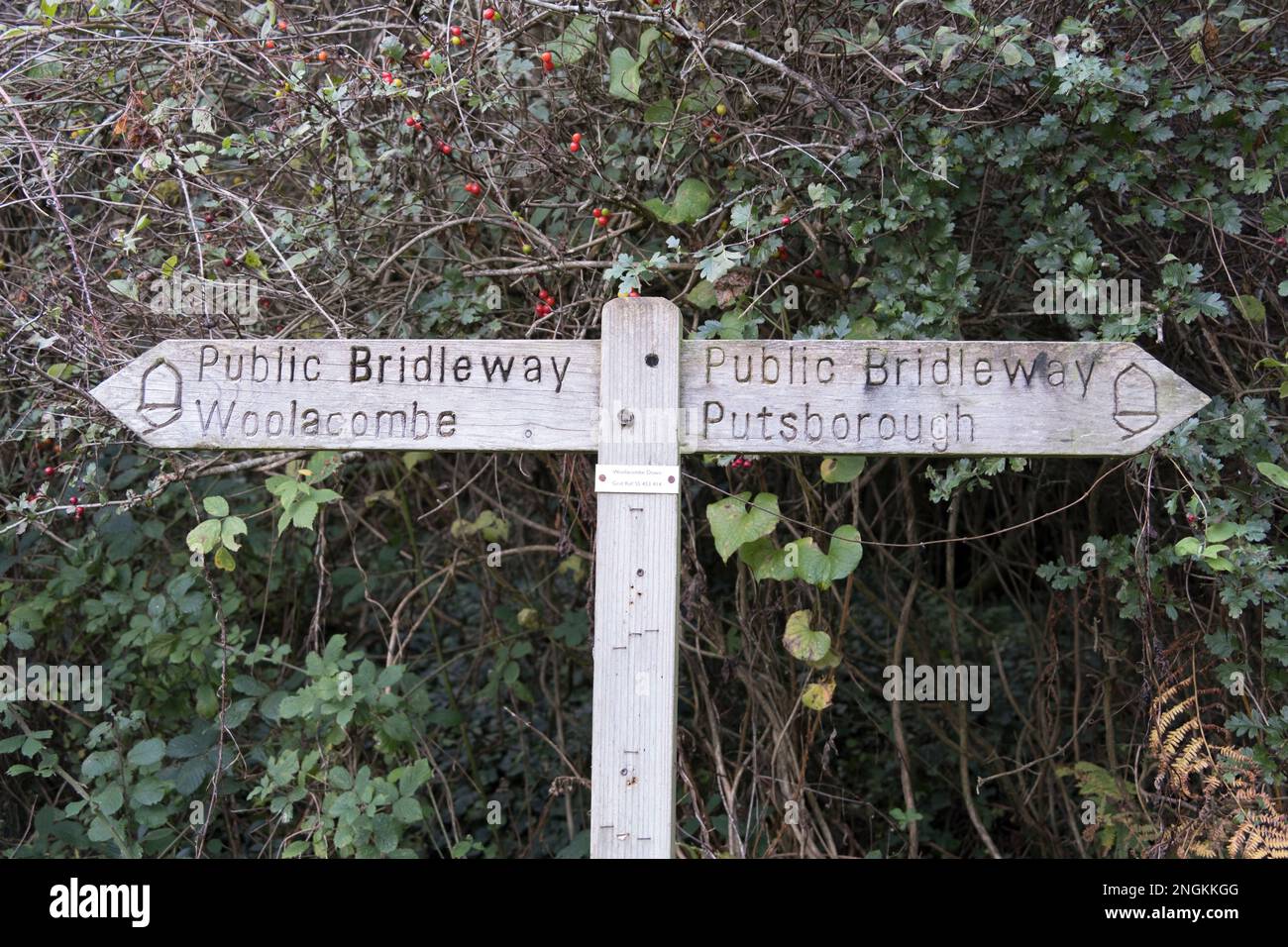 Public bridleway sign at Woolacombe Down, Devon, United Kingdom Stock ...