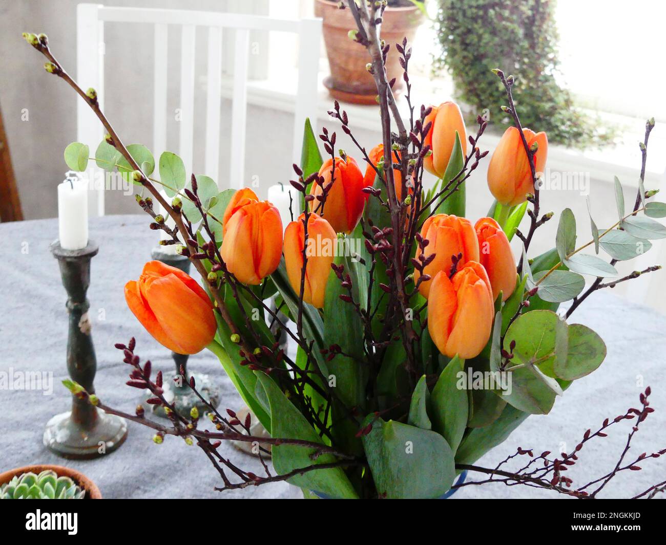 Sprigs hi-res stock photography and images - Alamy