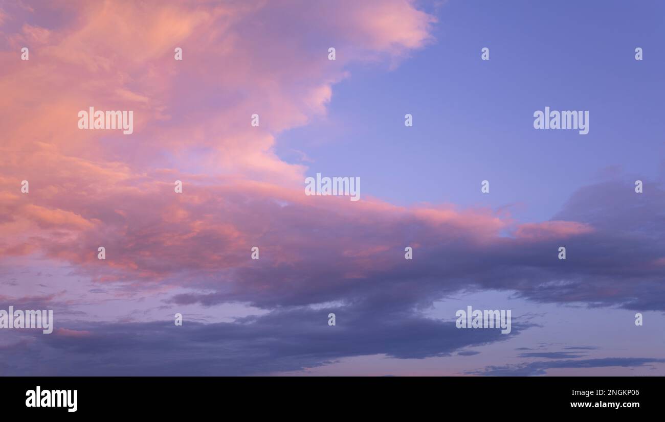 Dramatic sunrise, sunset pink violet blue sky with cirrus clouds ...