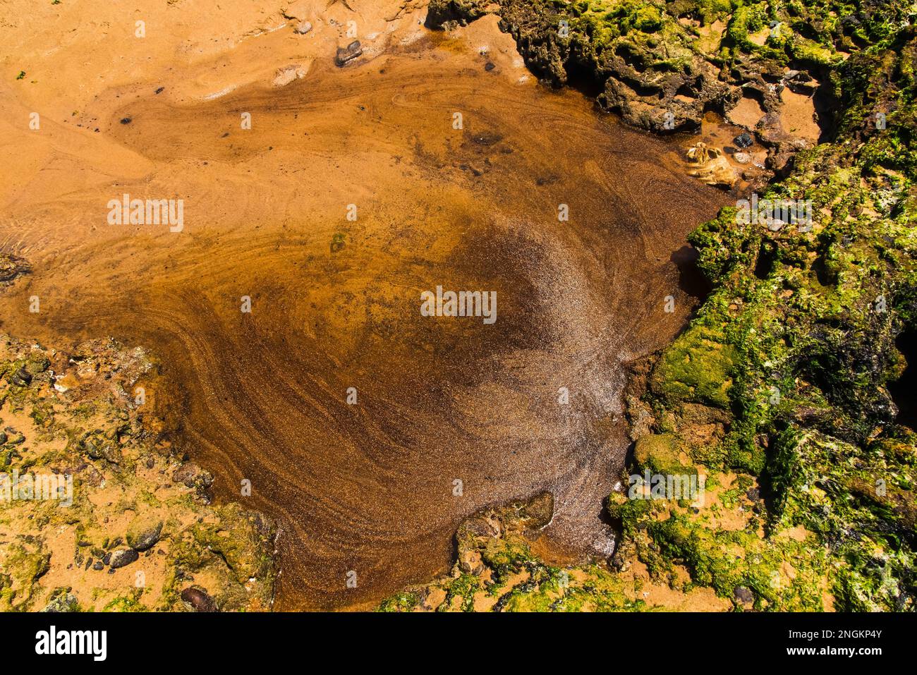 Salvador, Bahia, Brazil - October 27, 2019: Rocks on Rio Vermelho beach ...