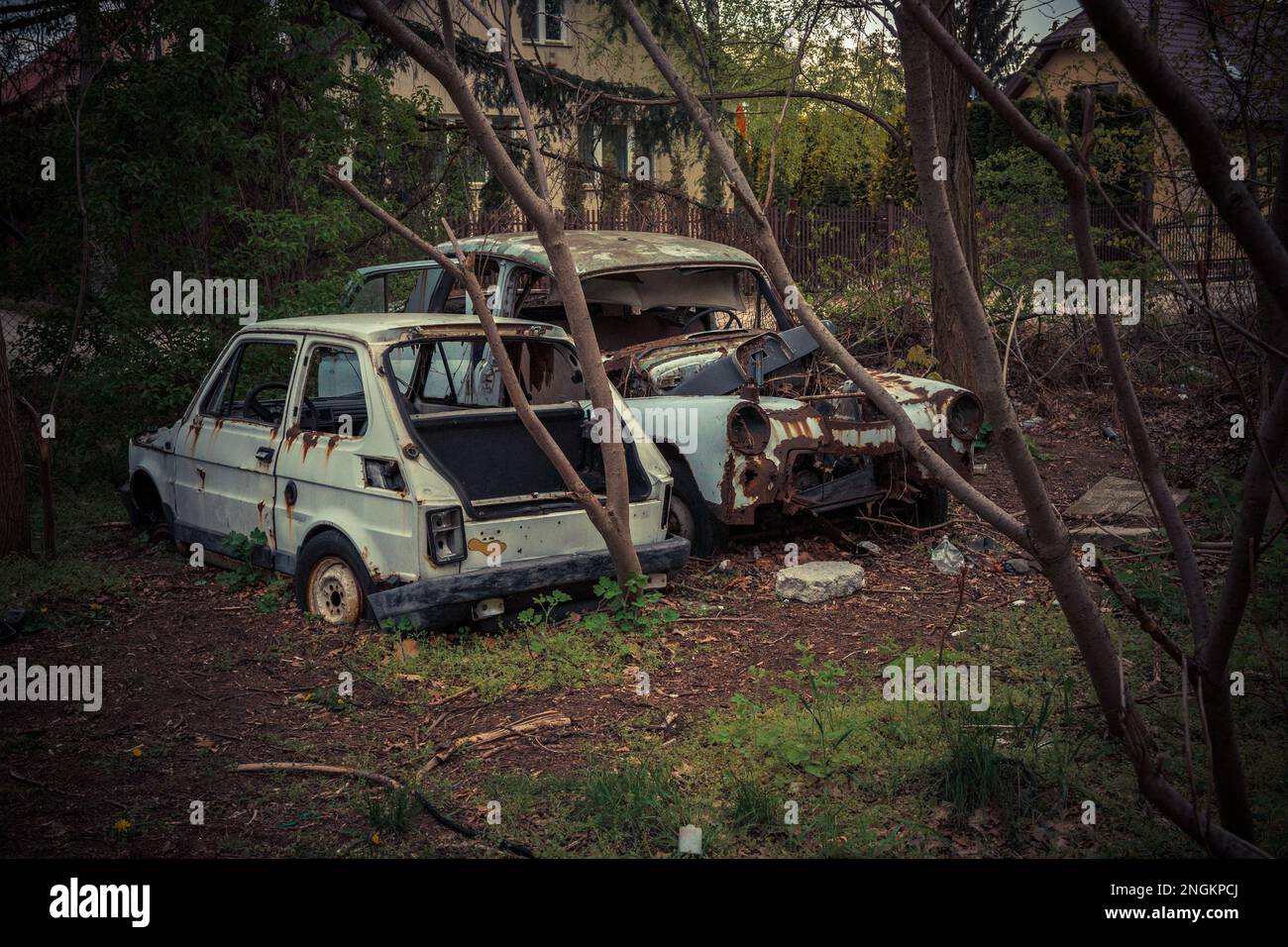 Abandoned classic cars in forest hi-res stock photography and images ...