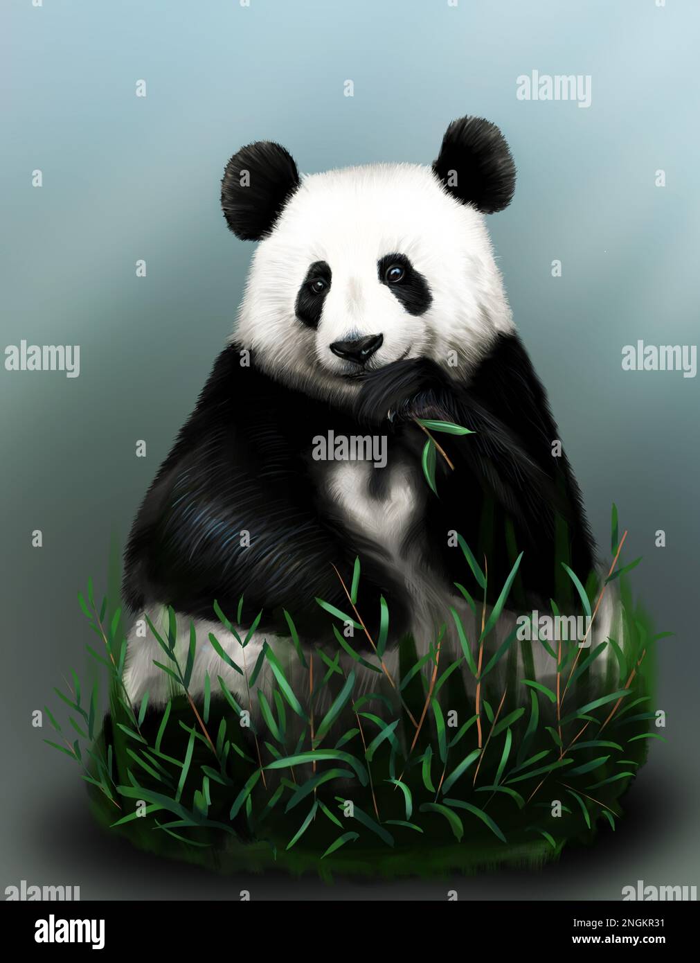 Giant Panda Eating Bamboo Drawing