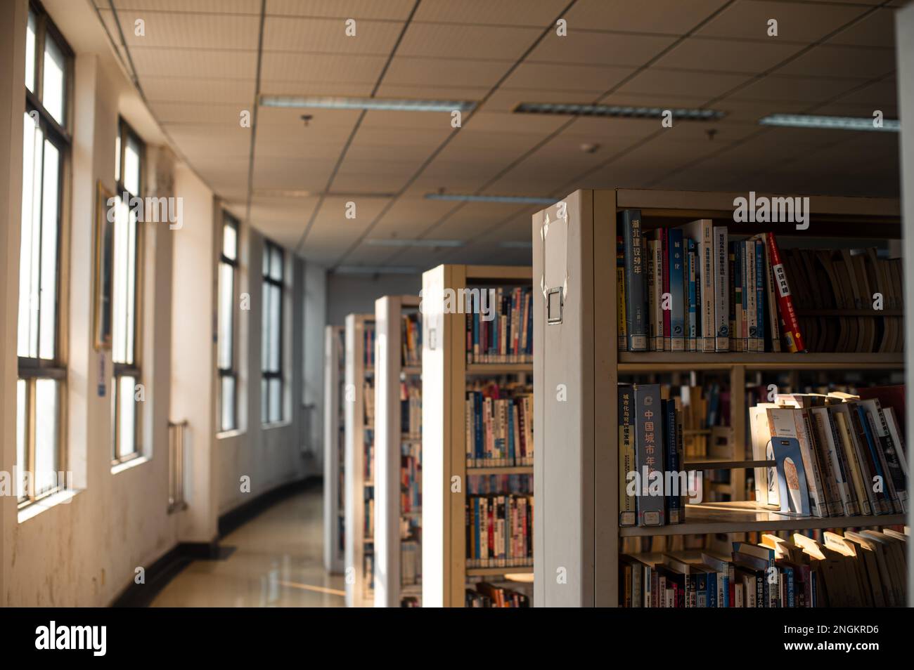 Wuhan institute of technology hi-res stock photography and images - Alamy