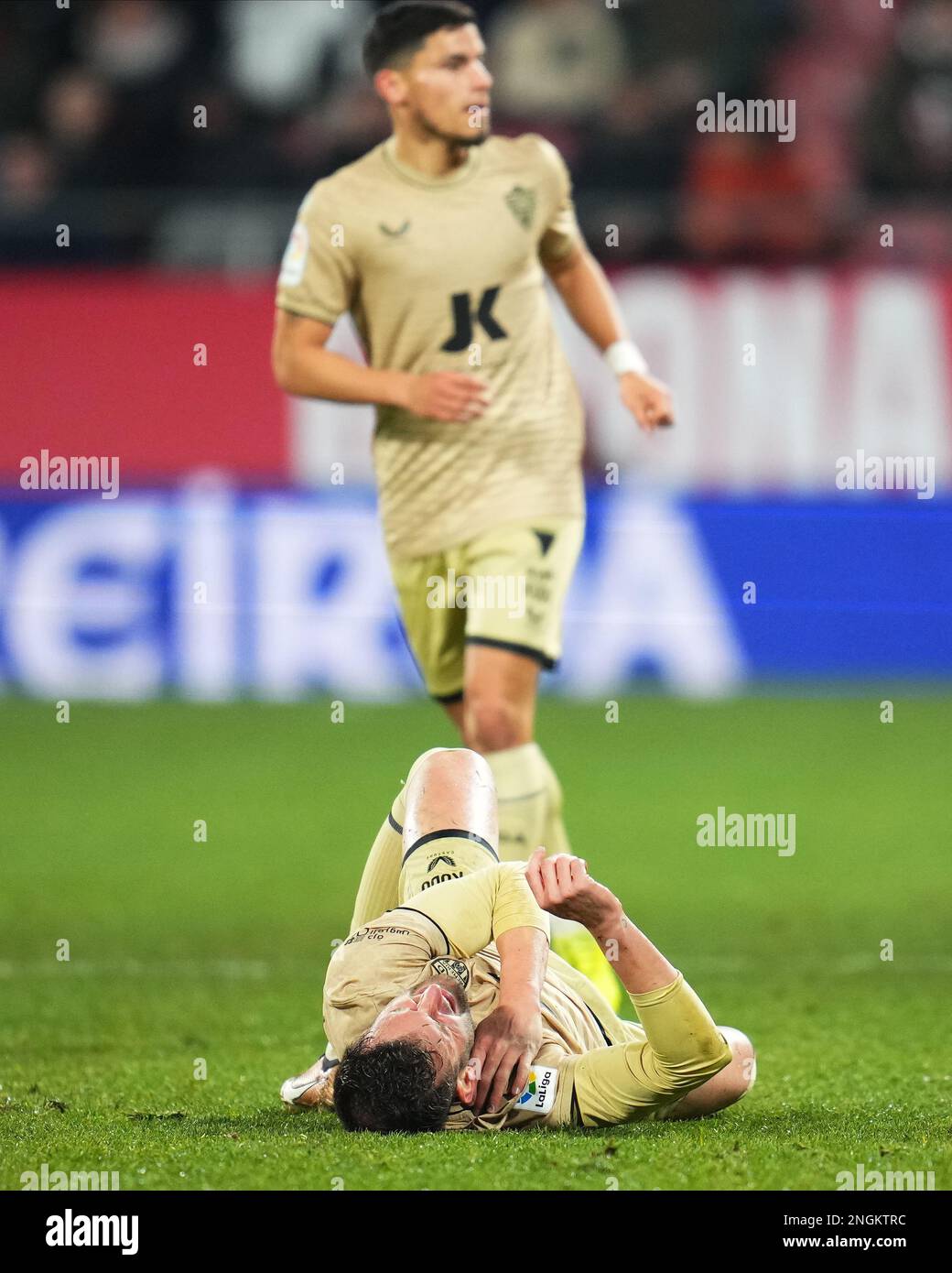 Leo blanco hi-res stock photography and images - Alamy