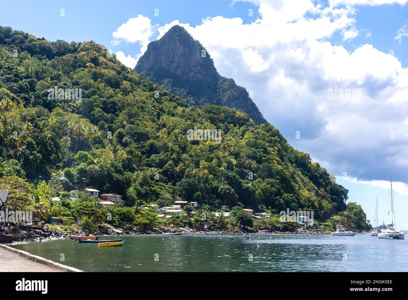 Rainforest the pitons mountain mountains boats harbour harbor we hi-res ...