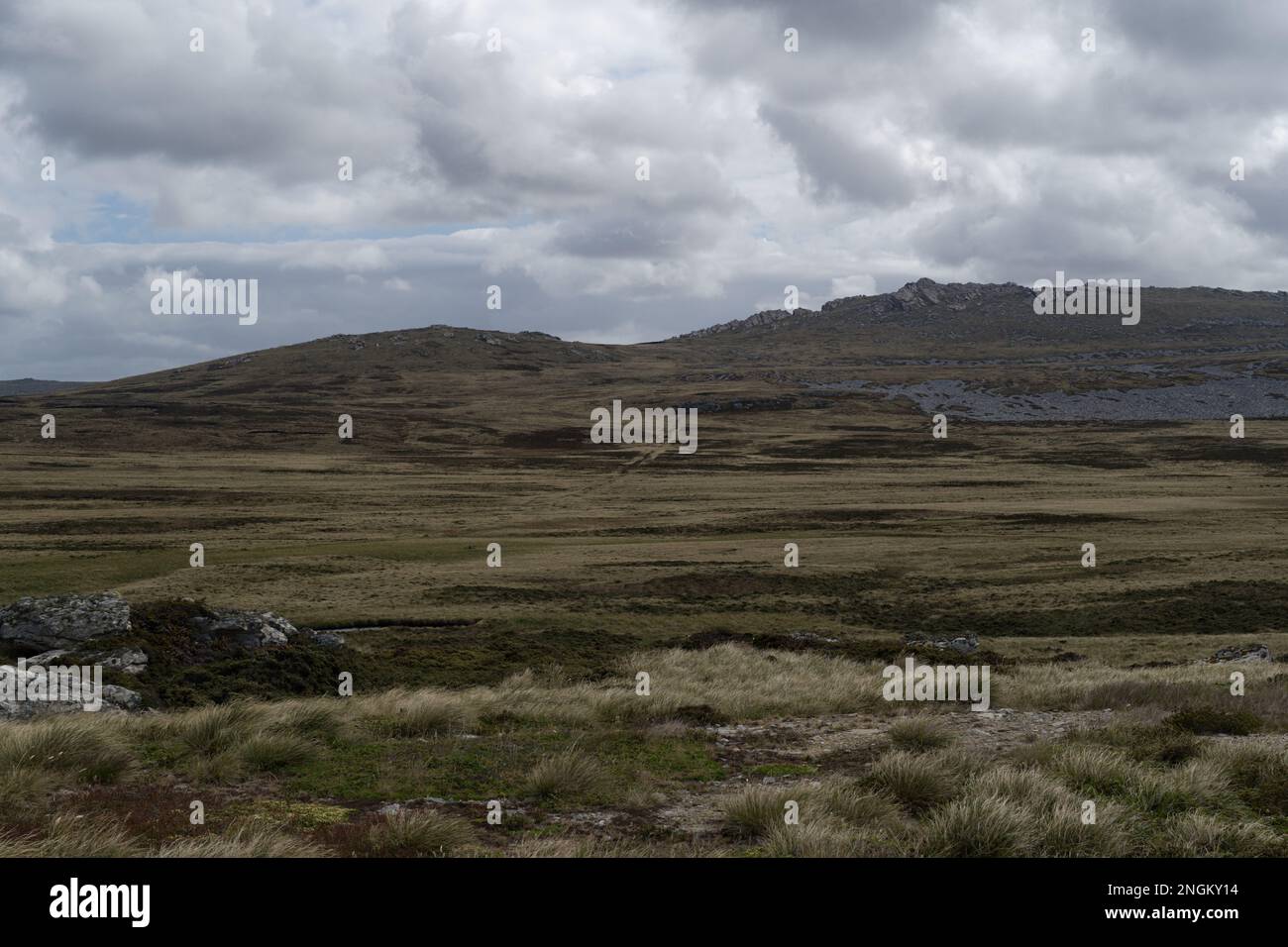 Falkland mountain hi-res stock photography and images - Alamy