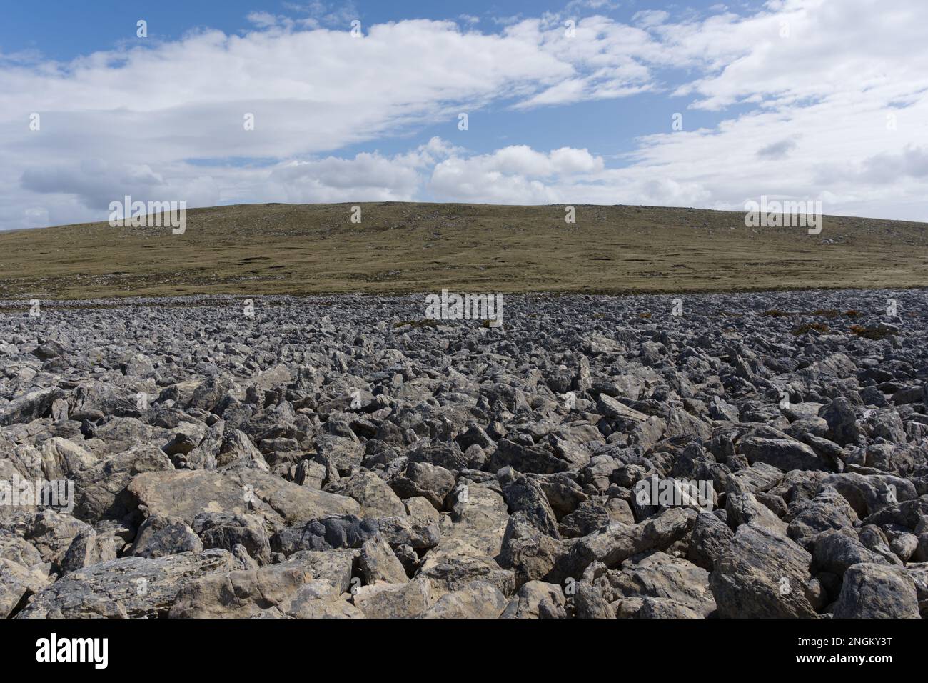 Stone run outside of Stanley - The Falkland Islands Stock Photo - Alamy