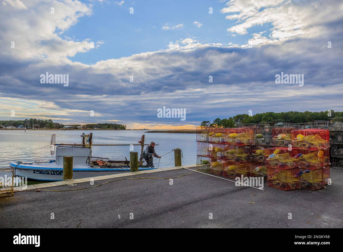 Tyler cove hi-res stock photography and images - Alamy