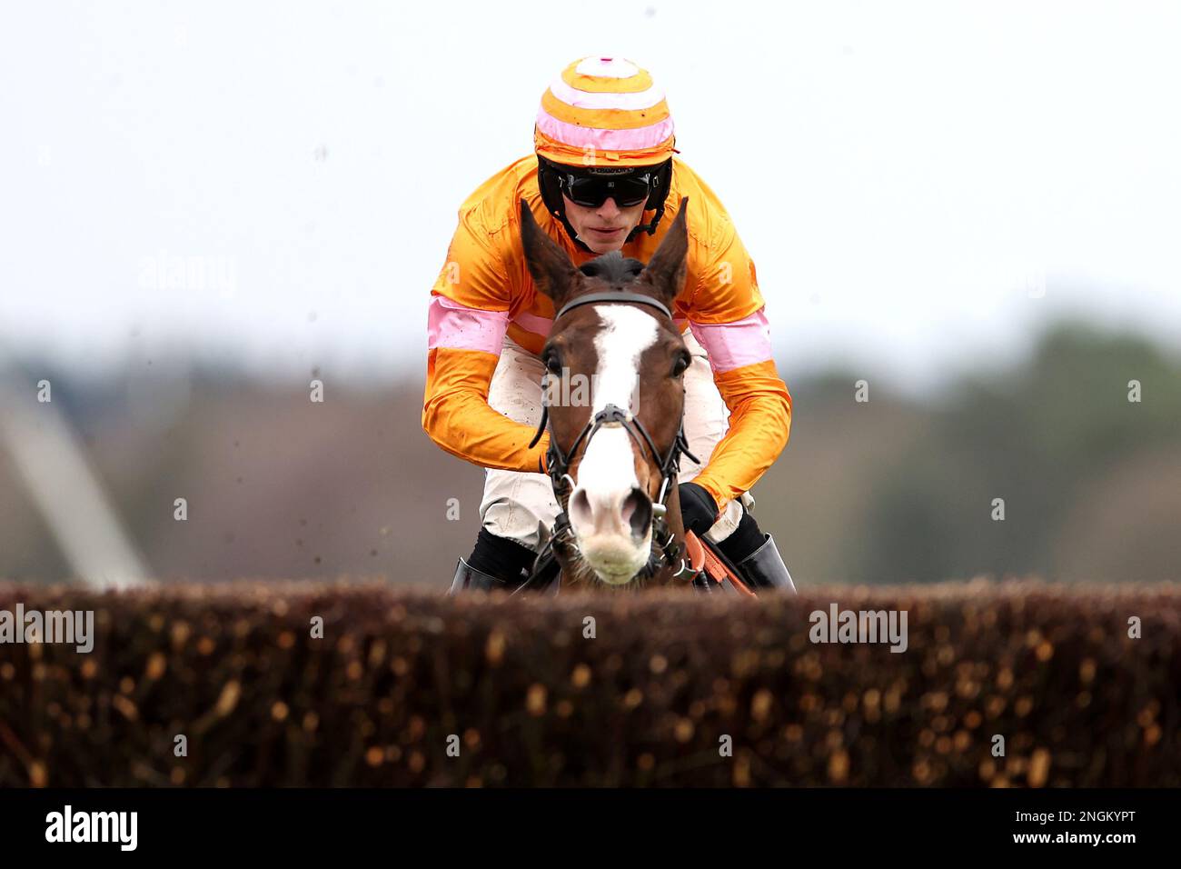 Oscar Elite ridden by jockey Harry Cobden on their way to winning the ...