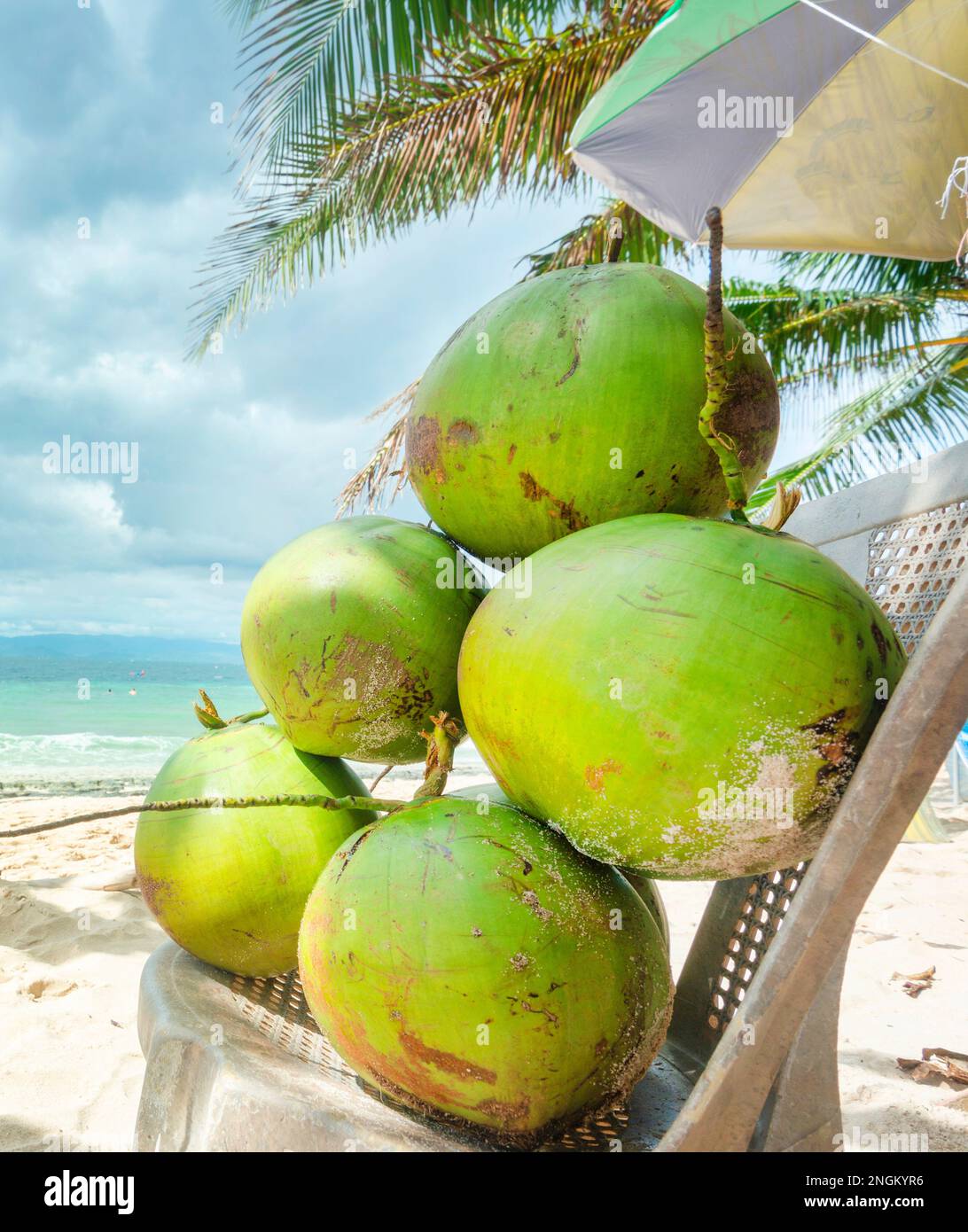 For drinking healthy coconut water. In the shade on a lazy tropical ...