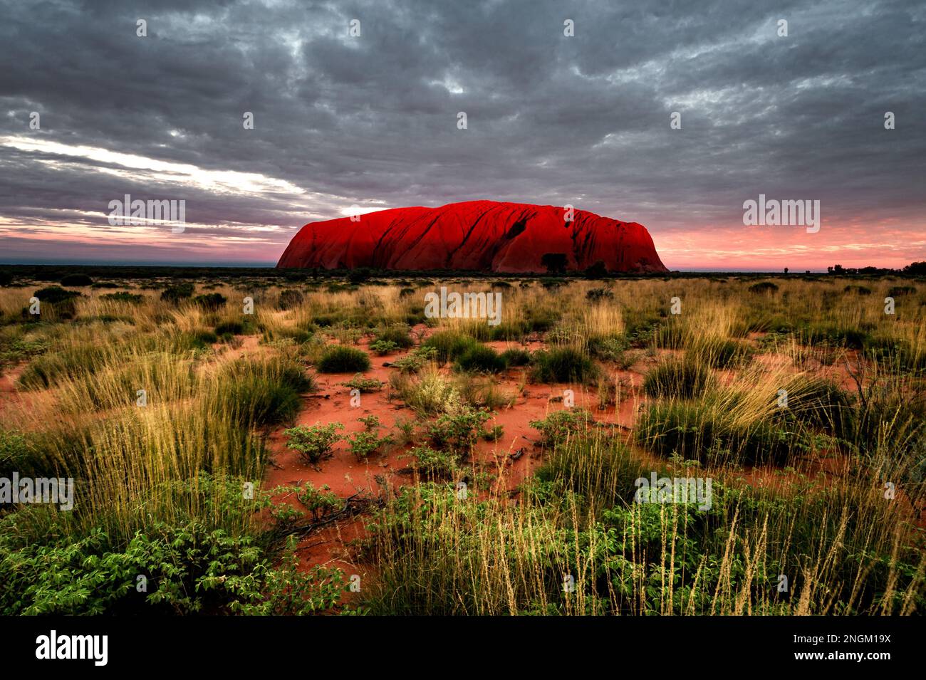 Magical Uluru glowing in the last light of the day Stock Photo - Alamy